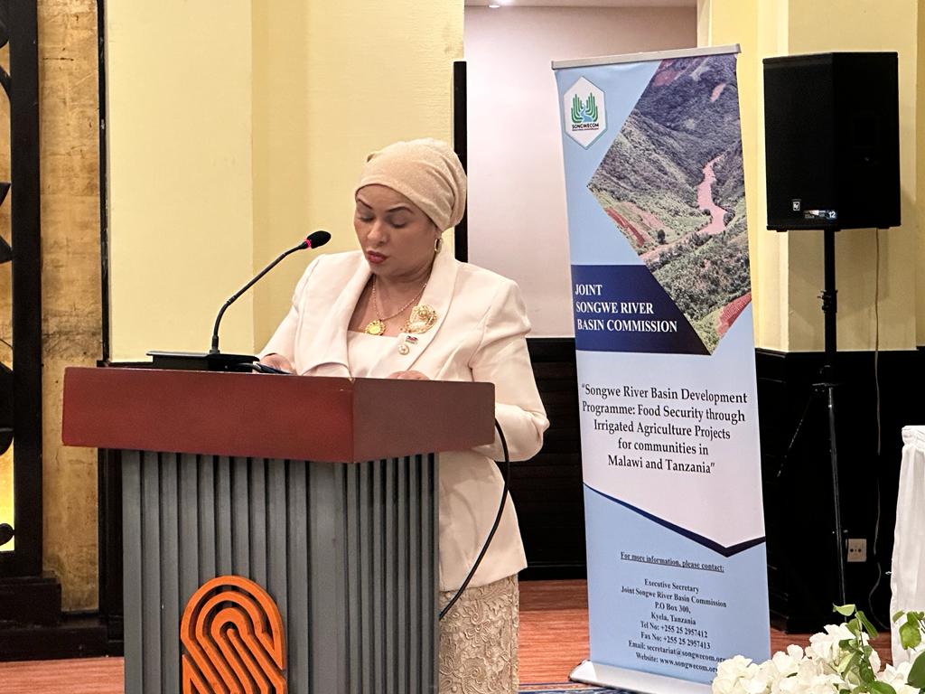 Ministers from Malawi & Tanzania Discuss Joint Songwe River Basin ...